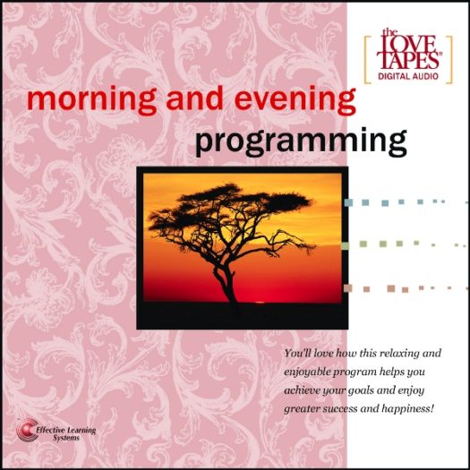 Morning and Evening Programming ~ Effective Learning Systems, LLC