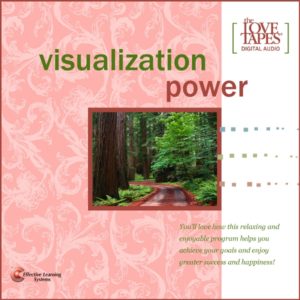 Visualization Power ~ Effective Learning Systems, LLC
