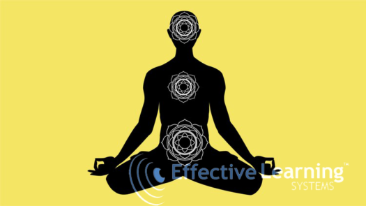 Shop ~ Effective Learning Systems, LLC