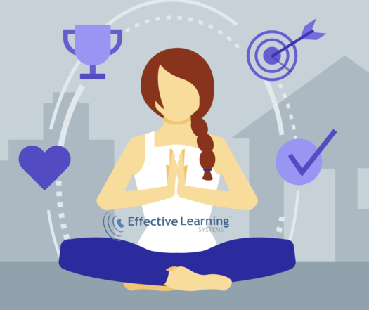 Shop ~ Effective Learning Systems, LLC